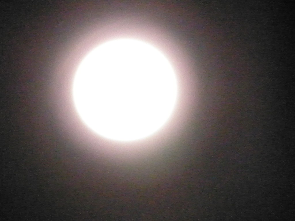 Colin Grace's Science Classes – Page 14 – A blog for the parents of the ...